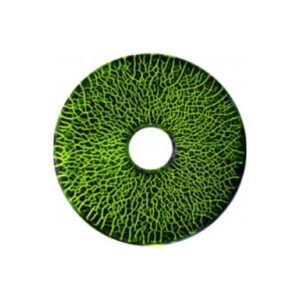 REFERENCE BLOCK TYPE 1 (MTU-3) - PSA